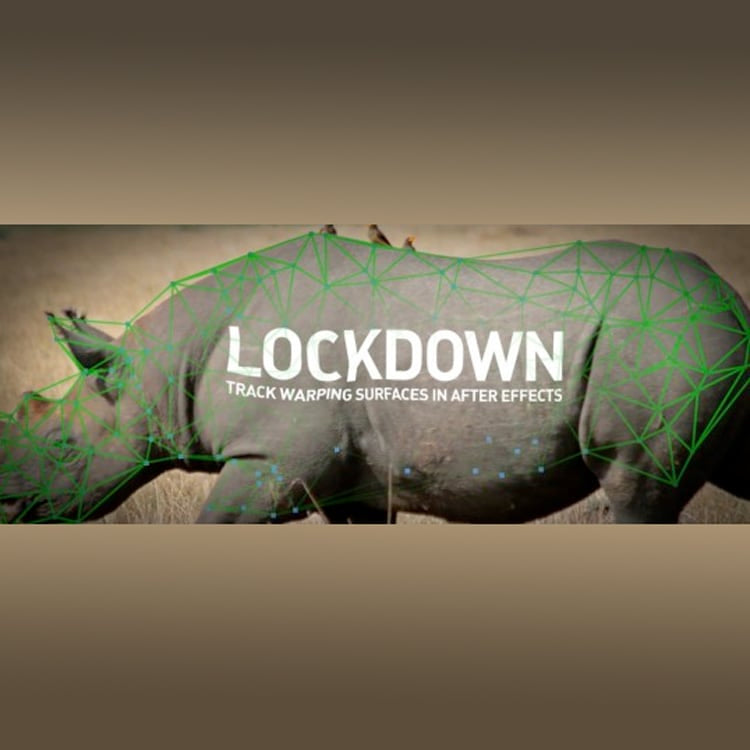Lockdown – Toolfarm Japan
