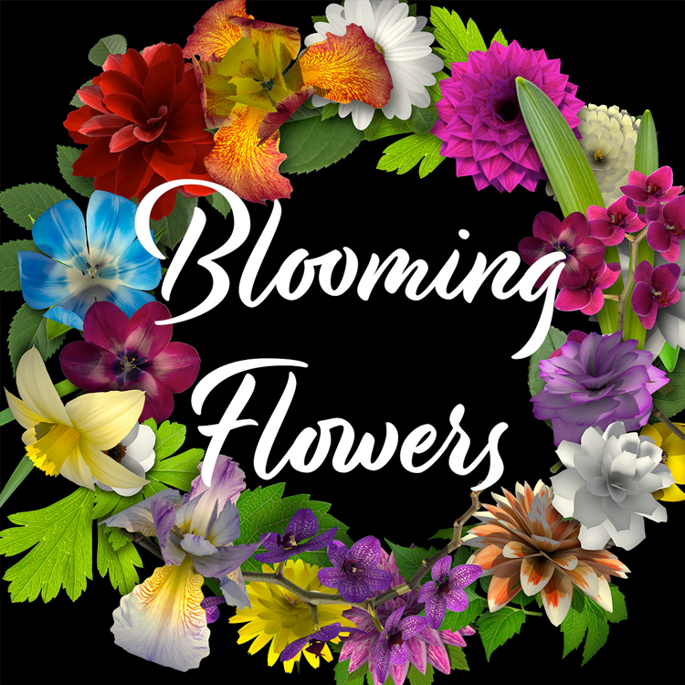 Creation Effects: Blooming Flowers – Toolfarm Japan